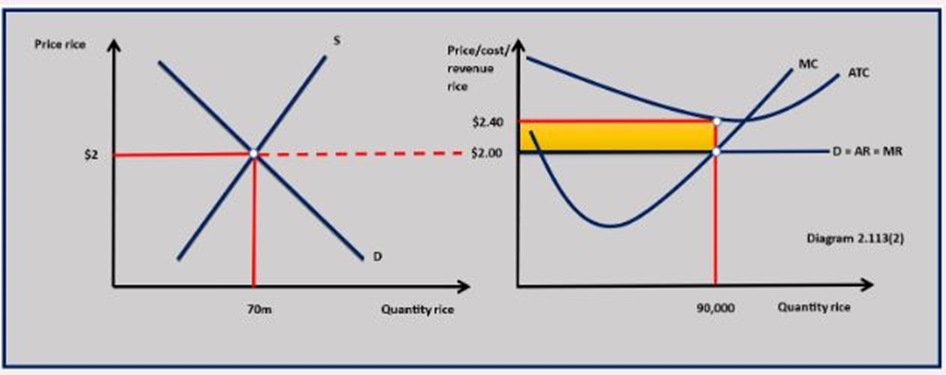 Perfect Competition Loss Graph